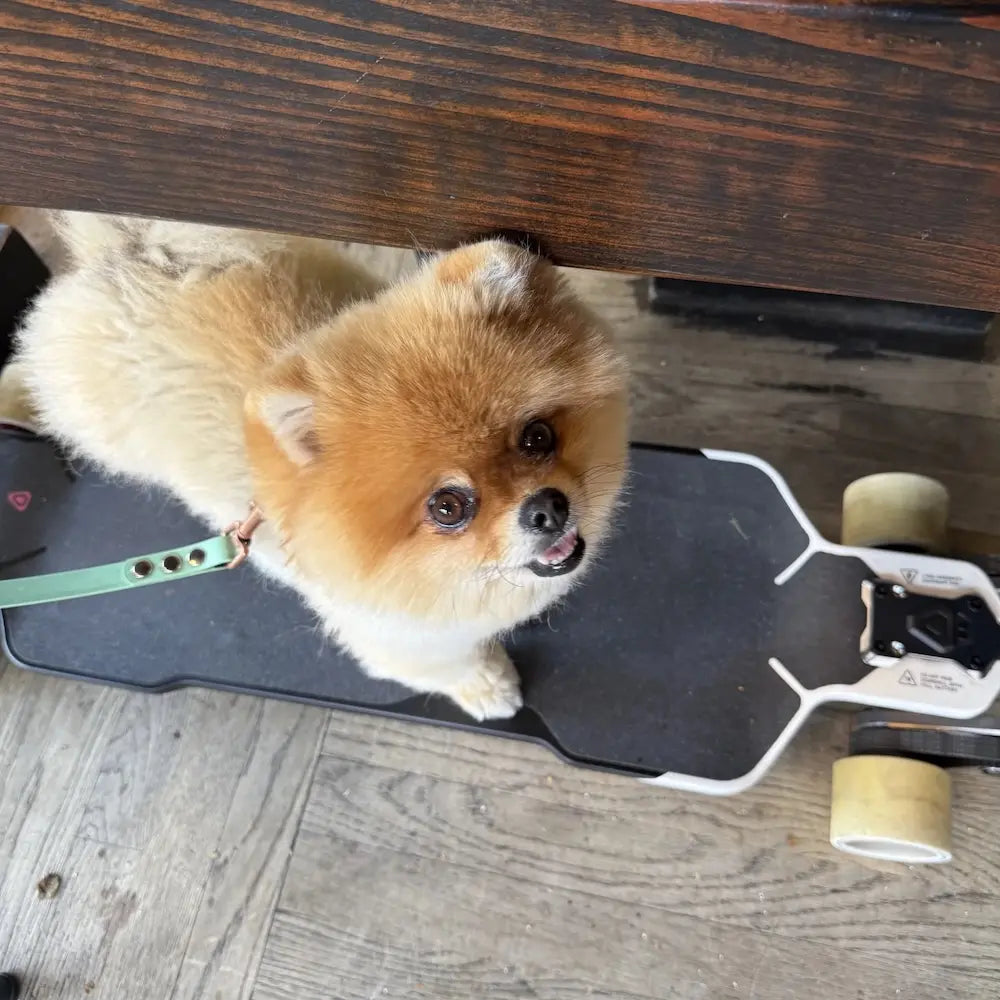 Parsec Aero Pro | Premium Lightweight Electric Skateboard – Parsec Skateboards